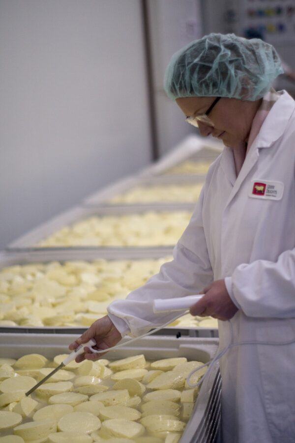 Our Factory - Udder Delights