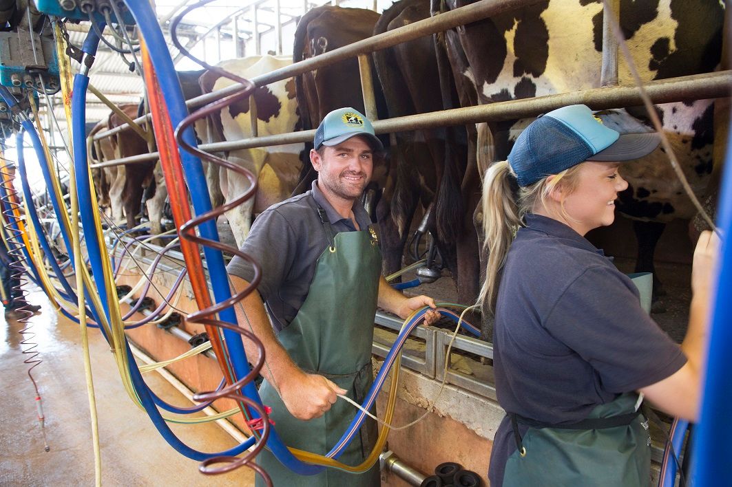Our Dairy Farmers - Udder Delights